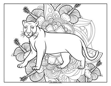 70 Dibujos De Pantera Negra Para Colorear Para Niños Y Adultos Gratis