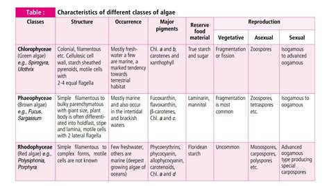 Characteristics Of Different Classes Of Algae