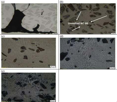 Optical Micrographs Revealing How Microstructural Evolution Of The Download Scientific Diagram