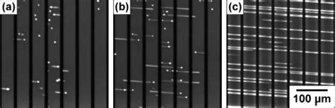 Stacking Fault Formation In Sic P I N Diodes Of 11 20 Orientation Applied Physics Letters