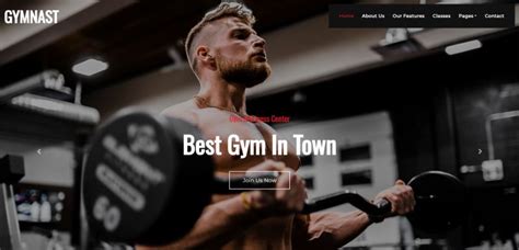 Fitnesstech Wellnesswebsite Nuxt3 Chayan Biswas