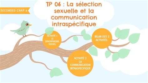 Secondes sélection sexuelle Genially