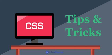 Form Design Best Practices Useful Tips For Styling Wordpress Forms