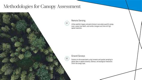 Top 10 Trees Forest Powerpoint Presentation Templates In 2025
