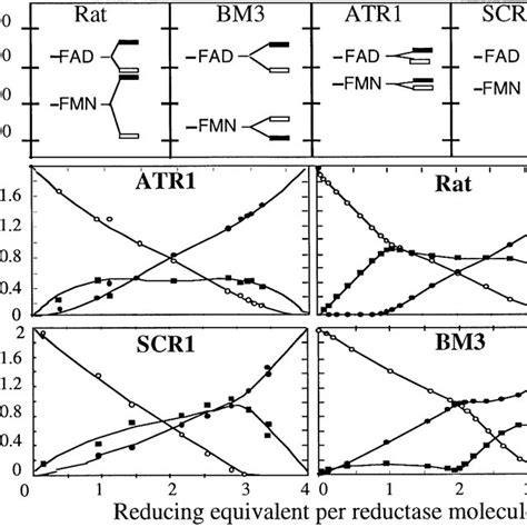 Immuno Inhibition Of Cyt C Reductase Activity Each Cpr 5 Pmol Was
