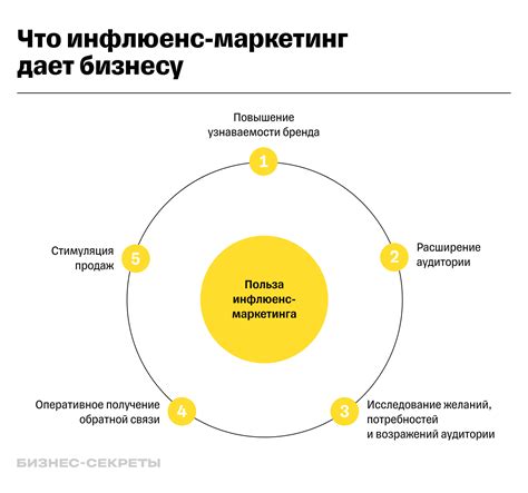 Инфлюенс-маркетинг: как внедрить в компании, примеры, особенности