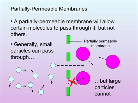 Diffusion And Osmosis PPT