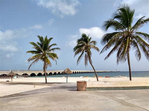 Royal Beach V Frontbeach Yucatán Progreso México Actualizado 2022