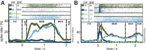 A Example Neuron With Sustained Motor Goal Tuning And B Example Download Scientific Diagram