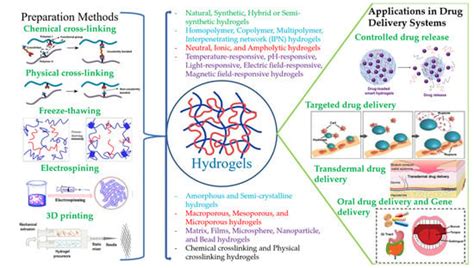 Polymer Based Hydrogels Applied In Drug Delivery An Overview