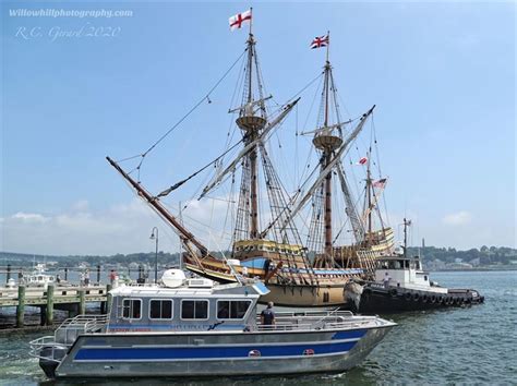 Silver Eel Vesseljoin