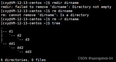 Linux的基本指令(一) Ls有什么指令 Csdn博客 Linux的基本指令(一) Ls有什么指令 Csdn博客