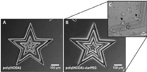 Three Dimensional Microstructures Generated With Projection