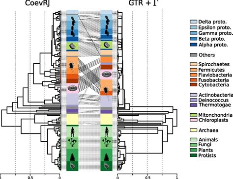 Simultaneous Bayesian Inference Of Phylogeny And Molecular Coevolution Pnas