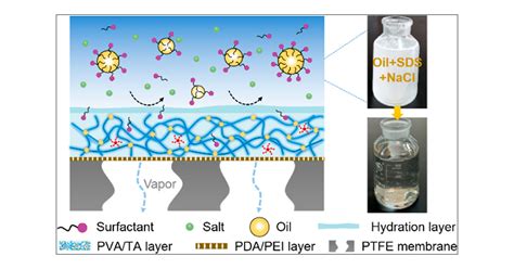 Janus Membrane With Hydrogel Like Coating For Robust Fouling And Wetting Resistance In Membrane