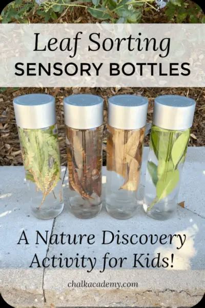 10 Splendid Leaf Activities For Preschoolers Education Outside