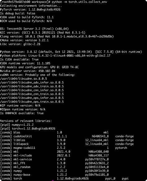 compatibility issue pytorch forums
