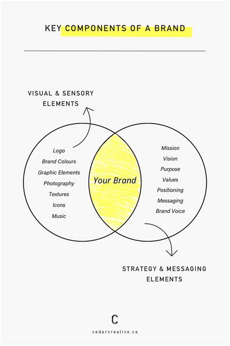 Branding Vs Marketing What S The Difference Cedar Creative Branding Digital Marketing