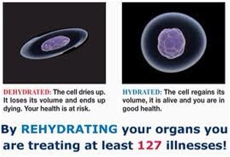 Micro Clustered Water Has The Capacity To Hydrate At The Cellular Level