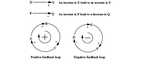 A Causal Loop Diagram With Positive A B C And Negative Feedback Loops Download Scientific