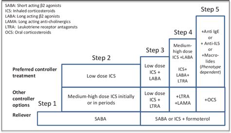 Gina Guidelines On Asthma Gina Guidelines Asthma Treatment Asthma Cure