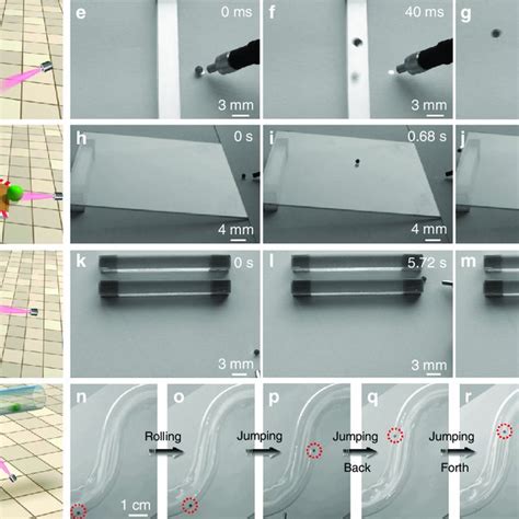 Schematic Illustrates The Applicability Of The Hydrogel Actuator Under