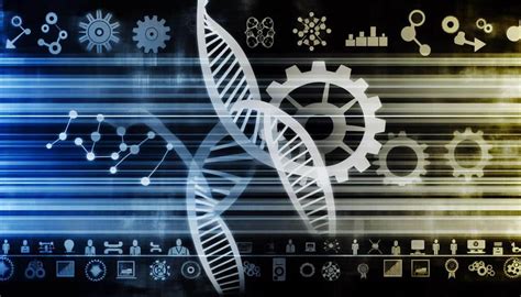 What Are Genetic Algorithm Applications In Optimization Algorithm
