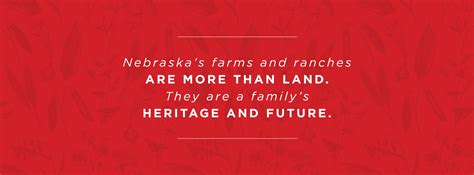 Nebraska Extension Platte County Platte County 4 H Staff Will Be There To Help Start Your 4