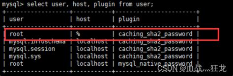 mysql解决“plugin caching sha2 password could not be loaded” plugin