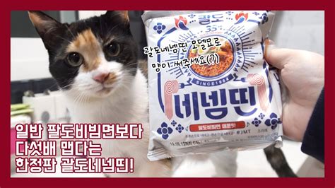 괄도네넴띤한정판 팔도비빔면 5배 매운맛끓여먹는 집순이 고양이집사의 브이로그 Volg Youtube