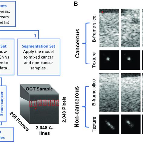 Dataset Description And Visualization A The Dataset Of 10 Patients Download Scientific