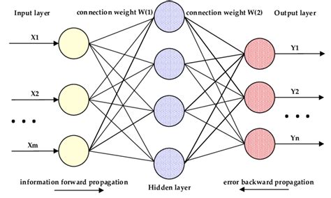 Topology Of Bp Neural Network Download Scientific Diagram