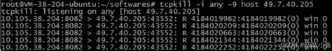 tcpkill清除异常tcp连接 csdn博客