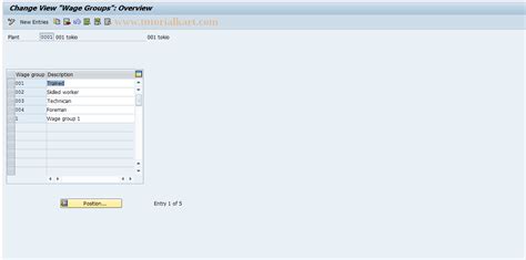 Op22 Sap Tcode Maintain Wage Groups