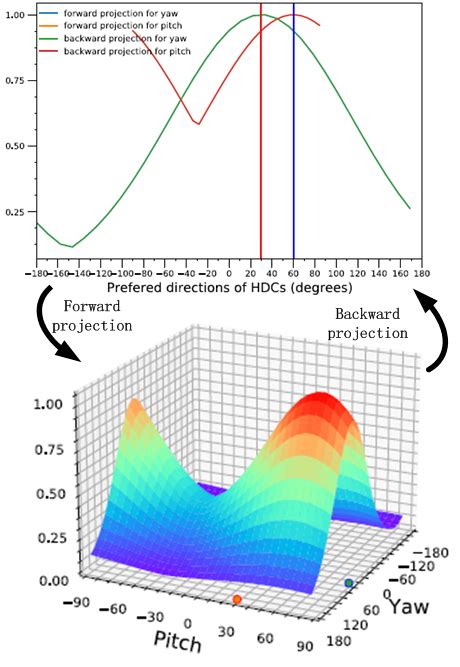 Activity States Of The Canns When Bidirectional Projection Happens