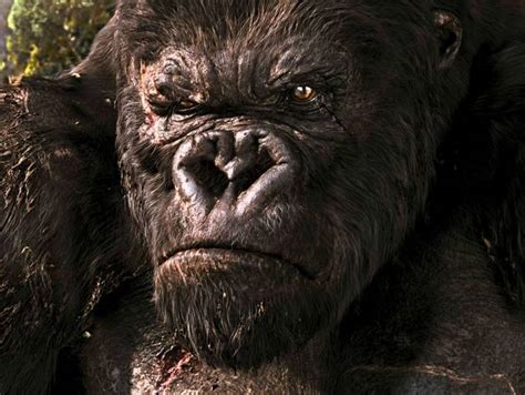 The Monsterverses Kong Skull Island Quote Has Been Overlooked For 9 Years