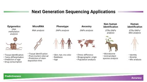 Next Generation Sequencing NGS Definition Types Applications Limitations Biology Notes