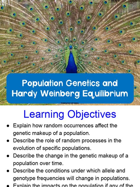 Se Unit 7 Topic 2 Notes Population Genetics Hardy Weinberg Equilibrium Pdf Population