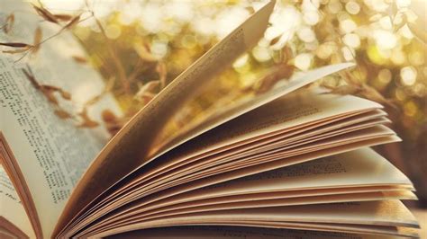 使用 Bookstack 写文档，一个开源的 Confluence 替代品 Linux 中国 知乎