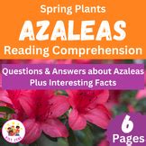 Azaleas Reading Comprehension Passage And Questions Worksheet Spring