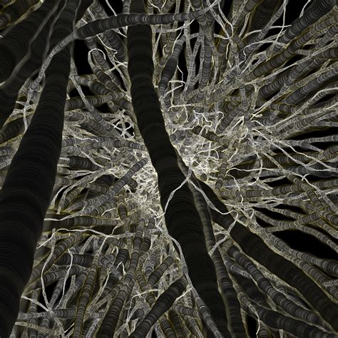 Some Liney Things Made In P5js Rproceduralgeneration