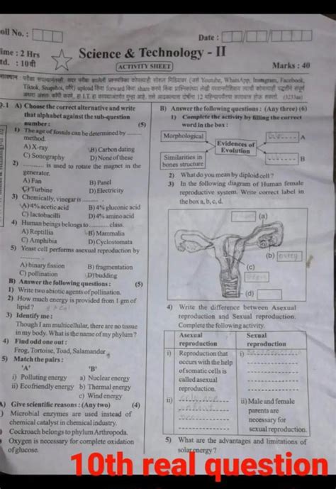 Write Two Abiotic Agents Of Pollination