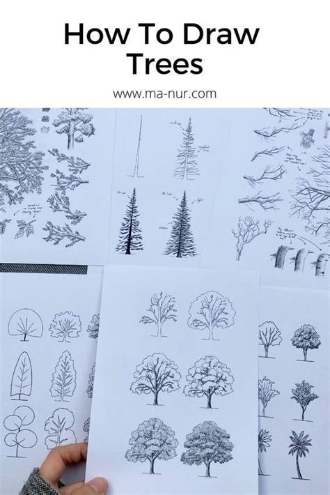 Complete Trees Drawing Course Fundamentals Step By Step Videos Of