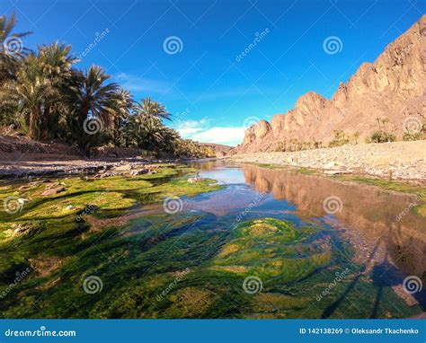 Beautiful Desert Oasis Landscape In Oasis De Fint Near Ourzazate In