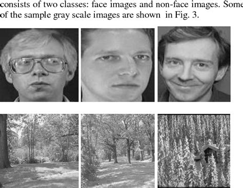 Figure 3 From Performance Of K Means Algorithm On 2d Dwt Compressed