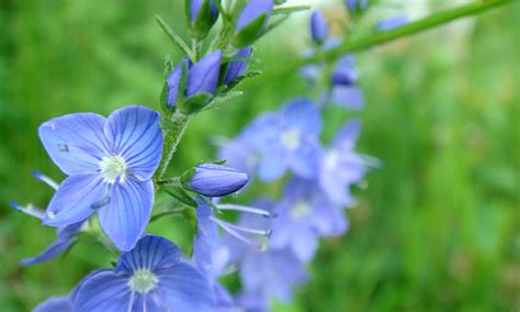 Weblf 8 Loschie Ferienwohnen