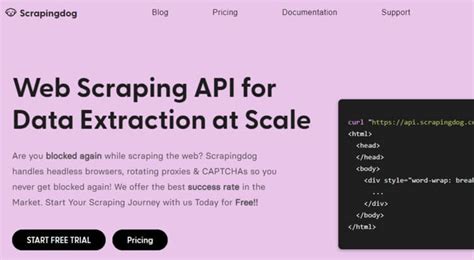 Scrapingdog Review 2025: Price and Features Insghts