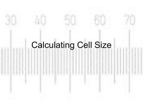 Calculating Cell Size