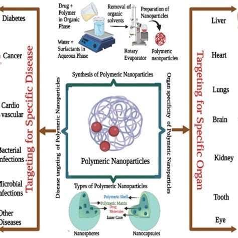 Synthesis And Targetability Of Polymeric Nanoparticles The Figure 1