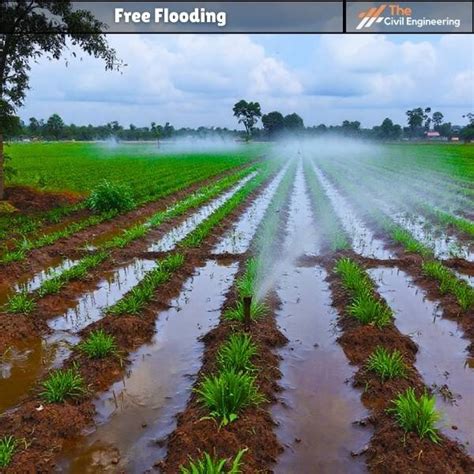 Flooding Irrigation 2 Types Of Flooding Irrigation Wild Flooding